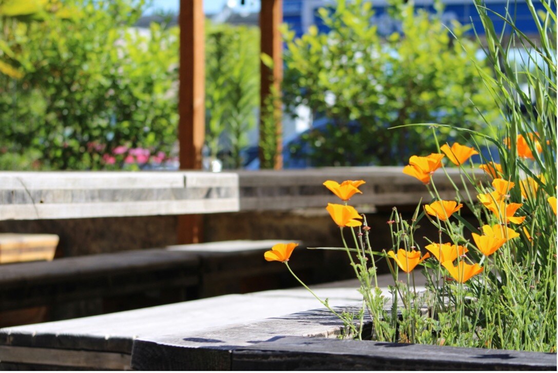 Accessible gardening: How to transform your garden into an accessible ...